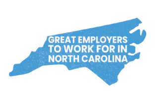 Business IT Solutions - WingSwept