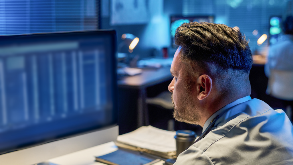 Government Contractor IT Services - WingSwept